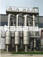 China Automatic Industrial Berry Juicer Machine Extracting Equipment For Fruit Juicing for sale