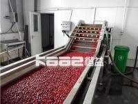 China Turnkey Dates Processing Machinery Palm Dates Sorting Drying Washing Dates Sorting Machine for sale