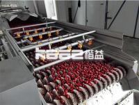 China Turnkey Dates Processing Machinery Palm Dates Sorting Drying Washing Dates Sorting Machine for sale