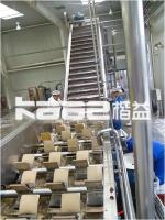 China Turnkey Dates Processing Machinery Palm Dates Sorting Drying Washing Dates Sorting Machine for sale