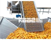 China 20T/H NFC Juice Processing Line Food Grade Hydraulic Press Juicer For Fresh Orange for sale