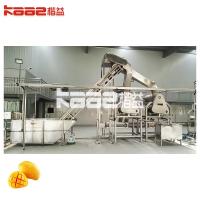 China 20T/H Mango Juice Production Line Mango Fruit Juice Processing Machine for sale