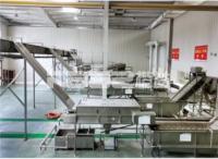 China Intelligent Dehydrated Food Conveyor Dryer Machine Food Grade Material for sale