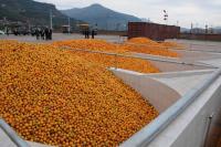 China 1 - 120 tons/h Turnkey Project Automatic Orange Juicer Machine Industrial Orange Juice Line for sale