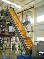 China 1 - 120 tons/h Turnkey Project Automatic Orange Juicer Machine Industrial Orange Juice Line for sale
