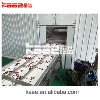 China Turnkey projects conveyor drying machine for fruits and vegetables/foods/seeds for sale