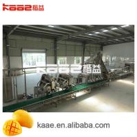China Fruit Pulp Paste Mango Juice Production Line Puree Making Machine 120T/H for sale