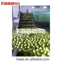 China Fruit Pulp Paste Mango Juice Production Line Puree Making Machine 120T/H for sale