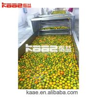 China Fruit Pulp Paste Mango Juice Production Line Puree Making Machine 120T/H for sale