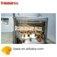 China Automatic Mango Juice Production Line SS304  All Fruit Juice Making Machine for sale