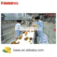 China Automatic Mango Juice Production Line SS304  All Fruit Juice Making Machine for sale