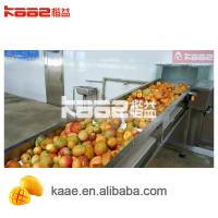 China Automatic Mango Juice Production Line SS304  All Fruit Juice Making Machine for sale