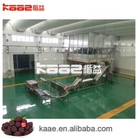 China Turnkey Automation Belt Press Blueberry Fruits Juice Processing Line for sale