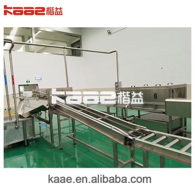 China Turnkey SUS304 Bayberry Berry Juicer Machine Fruit Juice Equipment ISO9001 for sale