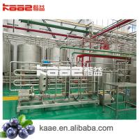 China Turnkey SUS304 Bayberry Berry Juicer Machine Fruit Juice Equipment ISO9001 for sale