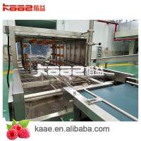 China Turnkey SUS304 Bayberry Berry Juicer Machine Fruit Juice Equipment ISO9001 for sale