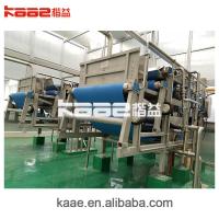China Turnkey SUS304 Bayberry Berry Juicer Machine Fruit Juice Equipment ISO9001 for sale