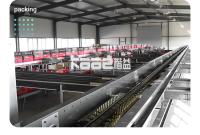 China 2.2Kw Automatic Fruit Sorting Machine Vegetable Grading Equipment for sale