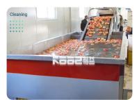 China 2.2Kw Automatic Fruit Sorting Machine Vegetable Grading Equipment for sale