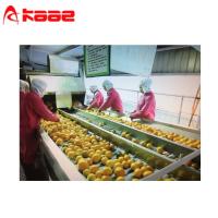 China SS304 Automatic Fruit Sorting Machine Roller Sorting Machine 0.75KW for sale