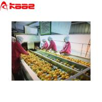 China Sorting Roller Conveyor Automatic Apple Grading Machine Roller Sorting Machine for sale