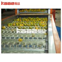 China High-Resolution Full-Auto Photoelectric Fruits Grader Automatic Fruit Sorting Machine for sale
