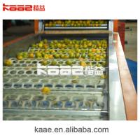 China Full Auto Photoelectrical Fruits Grader Line For Fruits And Vegetables Sorting And Grading for sale