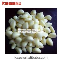 China Intelligent Garlic peeler/Garlic skin removing machine/garlic peeling machine for sale