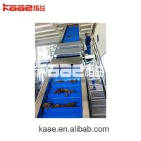 China Blueberry Strawberry Concentrated Juice Processing Line Apple Juice Concentrate for sale