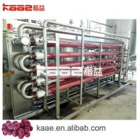 China Blueberry Strawberry Concentrated Juice Processing Line Apple Juice Concentrate for sale