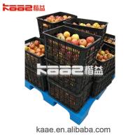 China Apple Pear Clear Apple Juice Production Line Cherry Juice Concentrated for sale