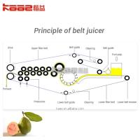 China 0.5-20T/H Industrial Concentrated Juice Processing Line Baobab Juice Processing Machine for sale