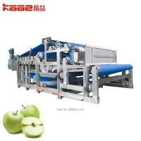 China 0.5-20T/H Industrial Concentrated Juice Processing Line Baobab Juice Processing Machine for sale