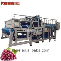 China 2.2KW 2500KGS Concentrated Juice Processing Line Mango Juice Making Machine for sale