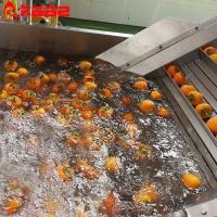 China 10t/H Dried Persimmon Production Line Persimmon Peeling Machine Heated Persimmon Drying Room for sale