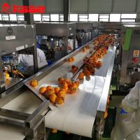 China 10t/H Dried Persimmon Production Line Persimmon Peeling Machine Heated Persimmon Drying Room for sale