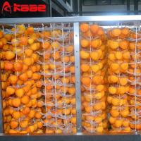 China 10t/H Dried Persimmon Production Line Persimmon Peeling Machine Heated Persimmon Drying Room for sale