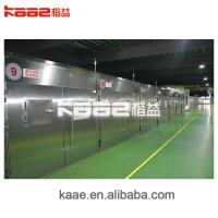 China Intelligent Persimmon Drying Machine Persimmon Dried Fruit Production Line for sale