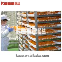 China Intelligent Persimmon Drying Machine Persimmon Dried Fruit Production Line for sale