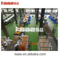 China Intelligent Persimmon Drying Machine Persimmon Dried Fruit Production Line for sale