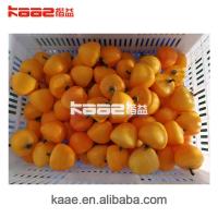 China Sus304 Persimmon Stemming Machine For Persimmon Processing Line By Kaae.China for sale