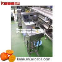 China 10 - 350t/H Dried Persimmon Processing Line Persimmon Peeling Machine Dried Fruit Production Line for sale