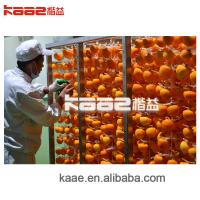China 10 - 350t/H Dried Persimmon Processing Line Persimmon Peeling Machine Dried Fruit Production Line for sale