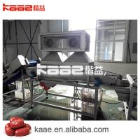 China Fully automatic Dates Processing Machine CE jujube deep processing production line for sale