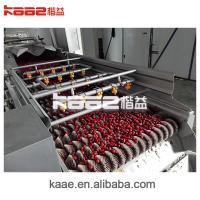 China Fully automatic Dates Processing Machine CE jujube deep processing production line for sale