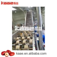 China Fully automatic Dates Processing Machine CE jujube deep processing production line for sale