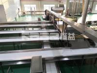 China Electric Garlic Slices Drying Machine Belt Conveyor Dehydrator Garlic Drying Equipment Garlic Ginger Dryer for sale