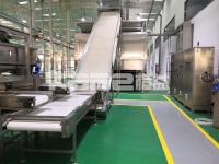 China Electric Garlic Slices Drying Machine Belt Conveyor Dehydrator Garlic Drying Equipment Garlic Ginger Dryer for sale