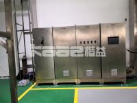 China Electric Garlic Slices Drying Machine Belt Conveyor Dehydrator Garlic Drying Equipment Garlic Ginger Dryer for sale