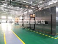 China Microwave Tunnel Conveyor Belt Type Black Soldier Fly Dryer Drying Machine with food stardard material for sale